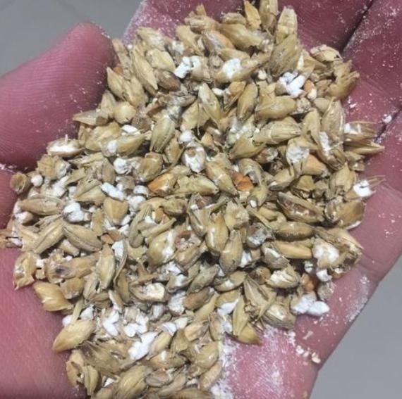 Malt Crushing In Beer Brewing / Tiantai Blog / Grainbrew-Leading ...